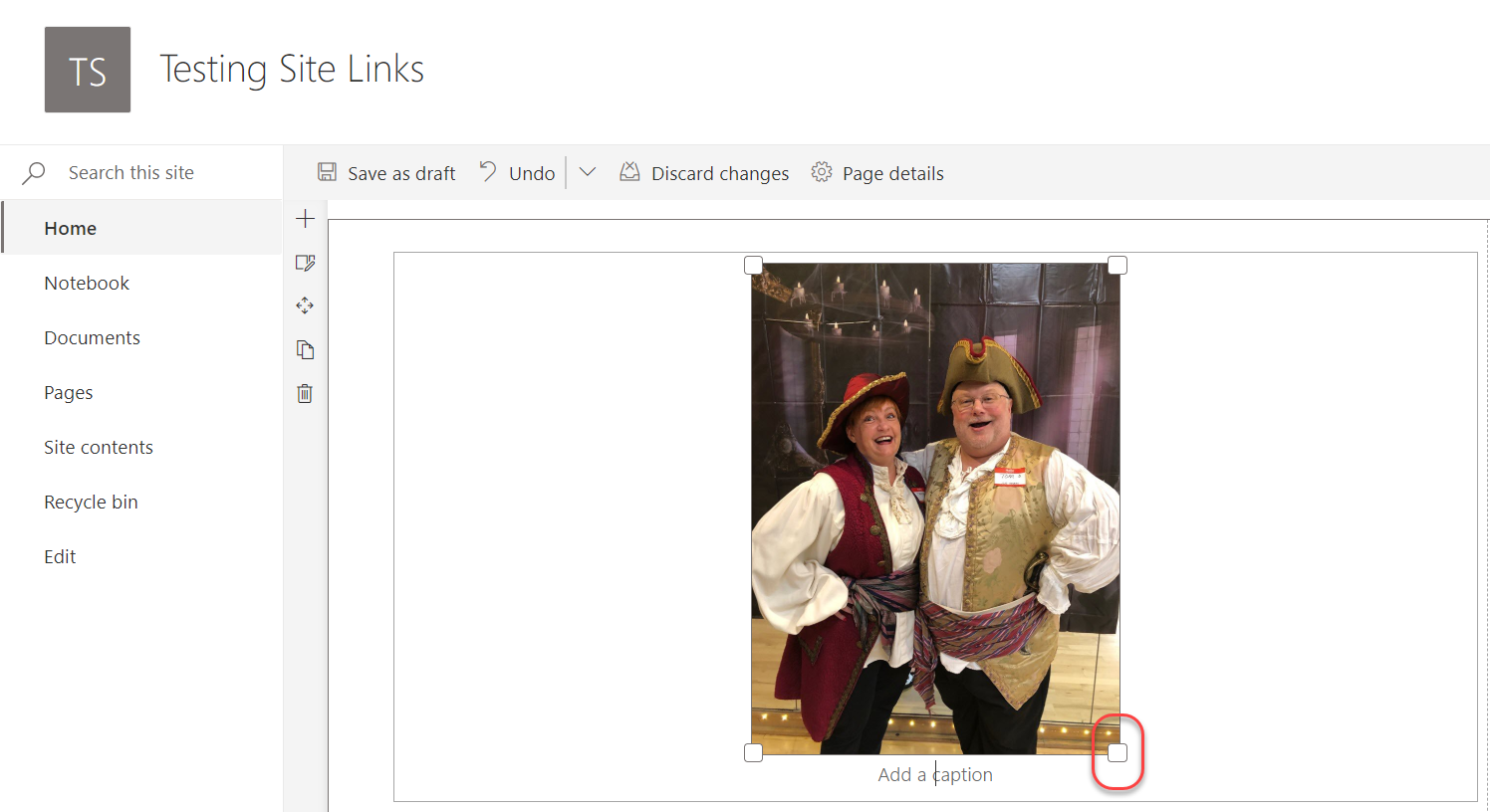 Resizing images in the SharePoint Online Image Web Part – One Minute ...