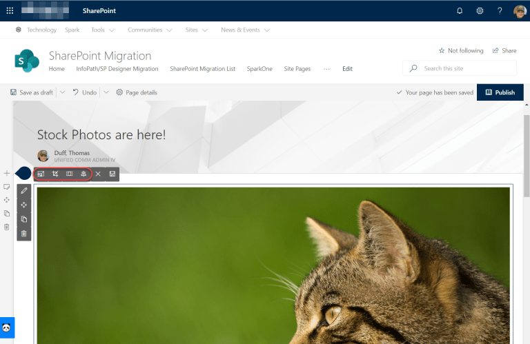 Stock photos for SharePoint Online pages – One Minute Office Magic