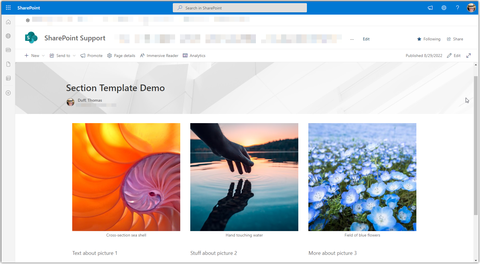 Using Section Template on Microsoft SharePoint Online pages – One Minute Office Magic